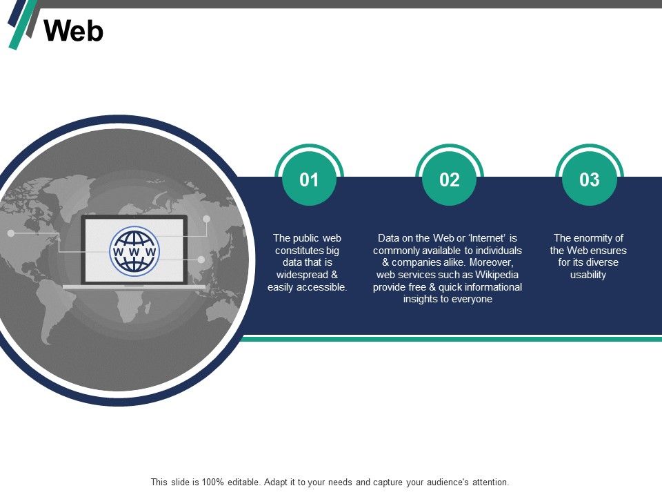 Web Ppt PowerPoint Presentation Layouts Show