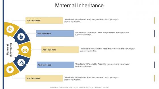 Maternal Inheritance PowerPoint Templates Slides And Graphics