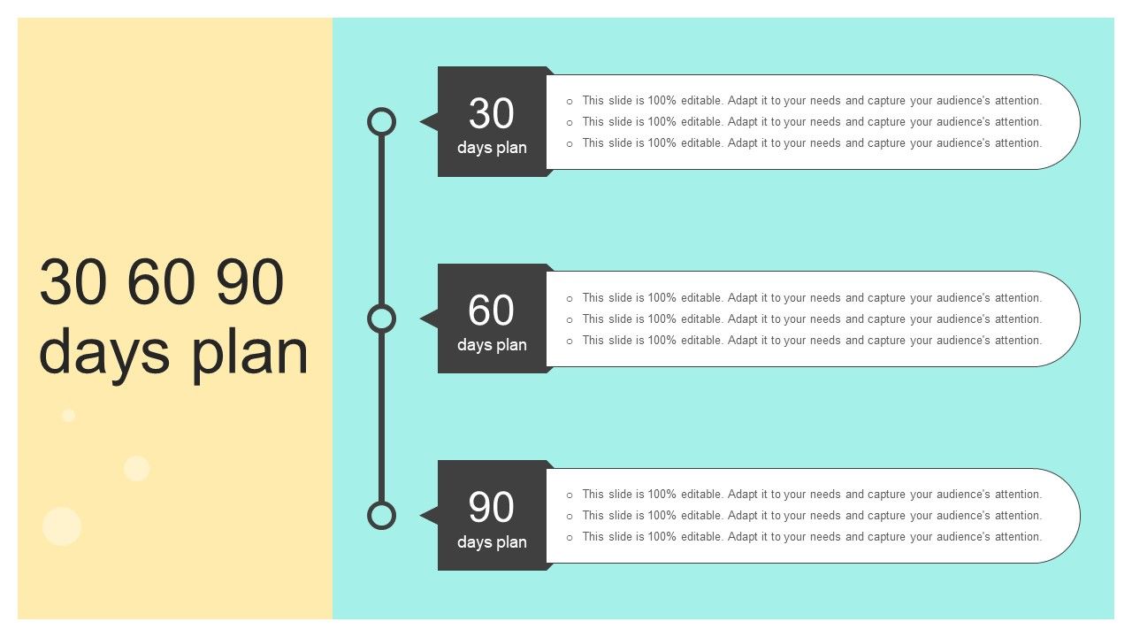 30 60 90 Days Plan Online And Offline Brand Promotion Techniques Informatio