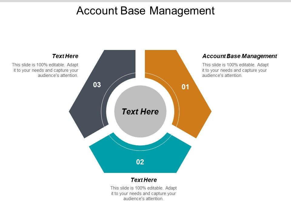 Account Base Management Ppt PowerPoint Presentation Show Graphics Template Cpb