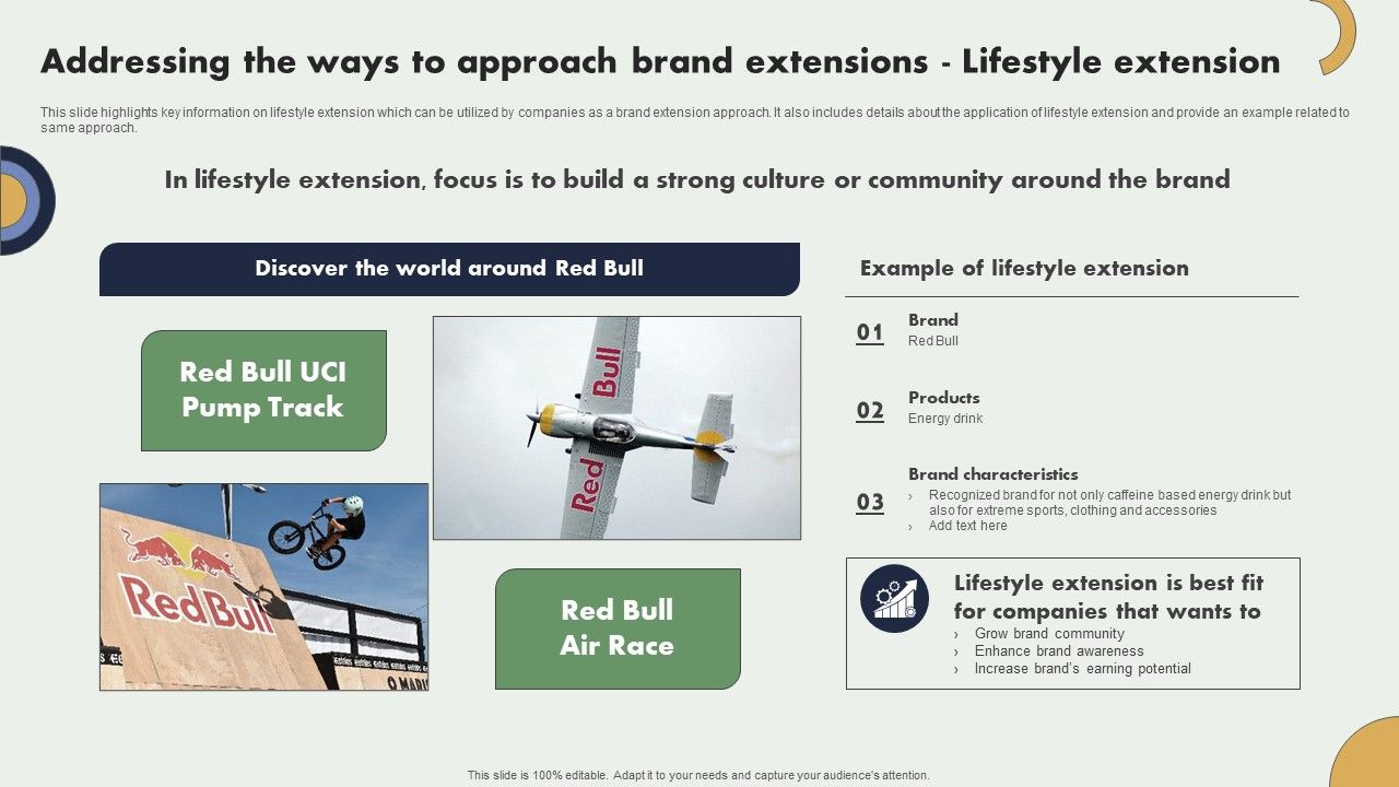 Addressing The Ways To Approach Brand Extensions Lifestyle Extension Formats PDF