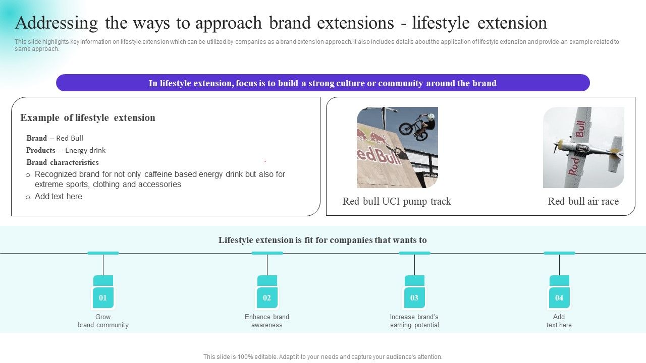Addressing The Ways To Approach Brand Extensions Lifestyle Extension Information PDF
