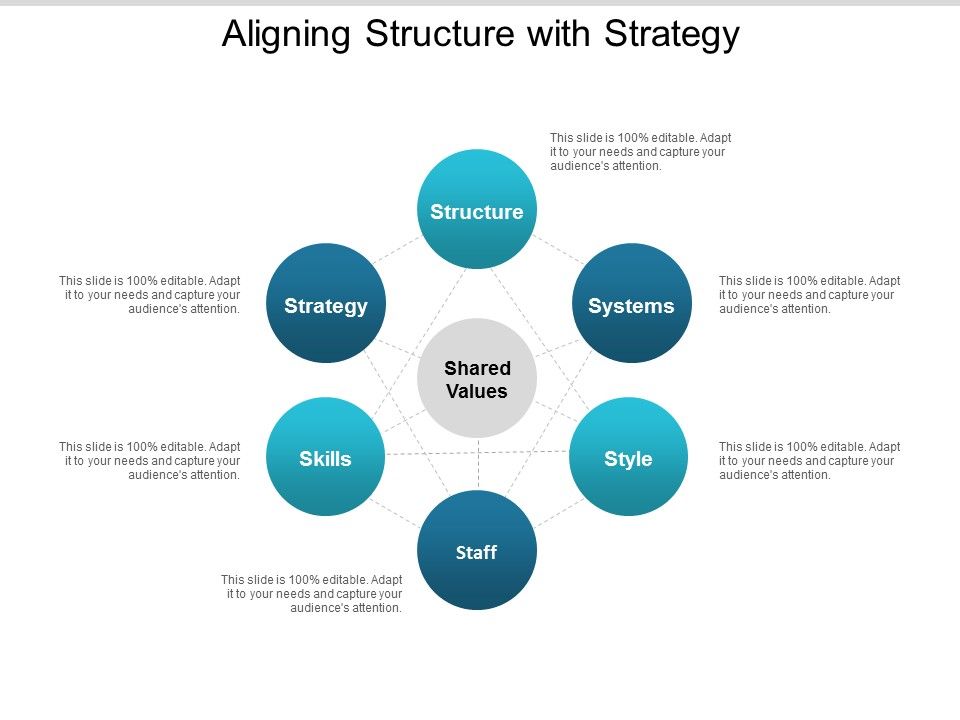 Aligning Structure With Strategy Ppt PowerPoint Presentation Show Structure