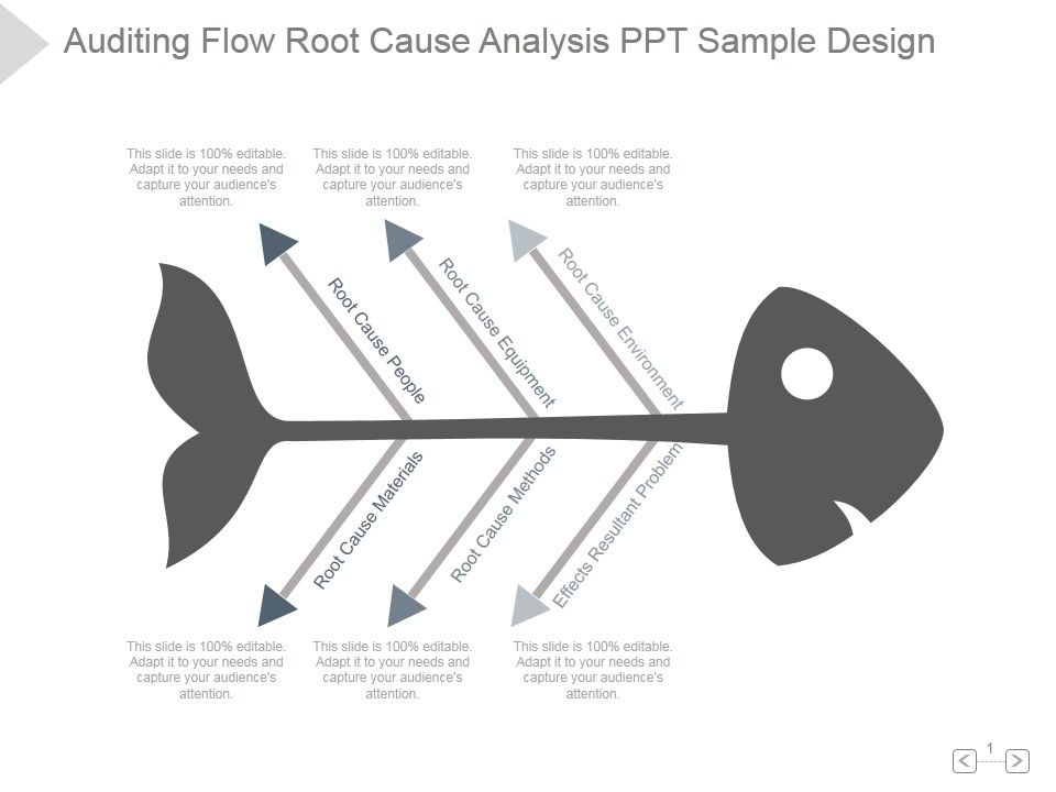 Auditing Flow Root Cause Analysis Ppt PowerPoint Presentation Files