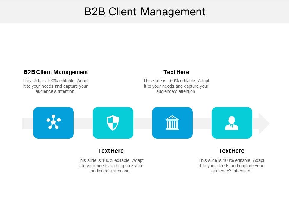 B2B Client Management Ppt PowerPoint Presentation File Elements Cpb