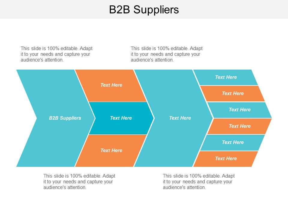 B2b Suppliers Ppt Powerpoint Presentation File Guide Cpb