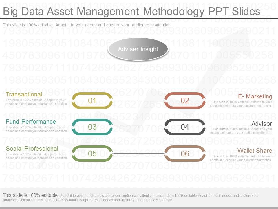 Big Data Asset Management Methodology Ppt Slides