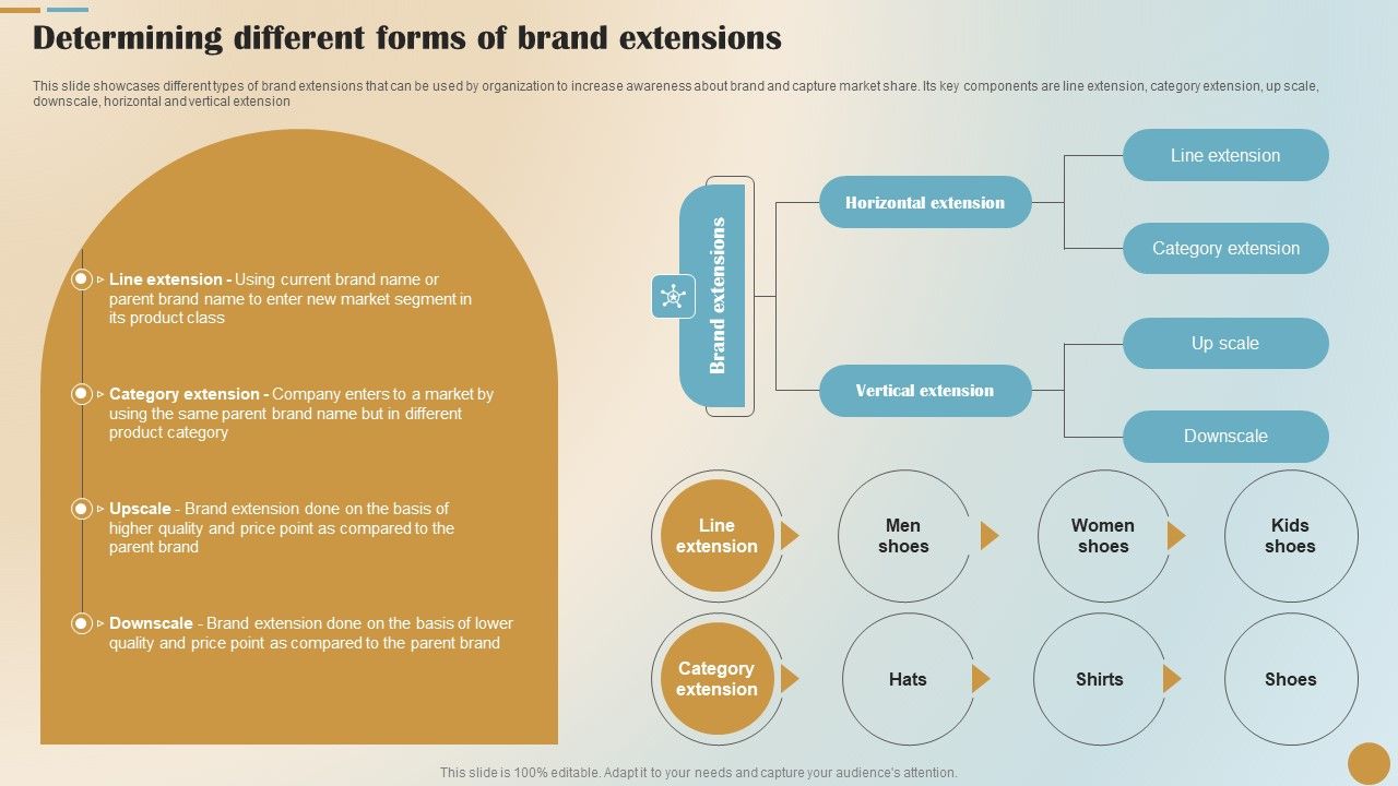 Brand Positioning And Launch Plan For Emerging Markets Determining Different Forms Of Brand ...