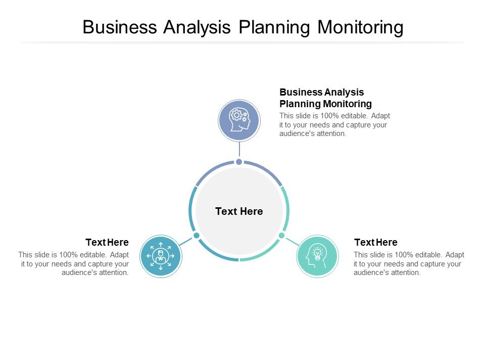 Business Analysis Planning Monitoring Ppt PowerPoint Presentation File Example Introduction Cpb
