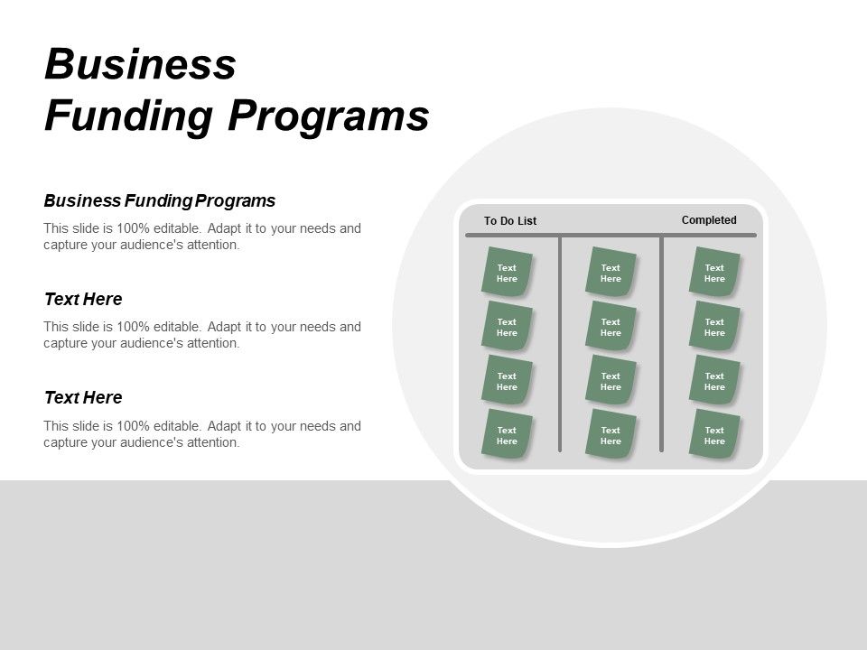Business Funding Programs Ppt Powerpoint Presentation Styles Tips Cpb