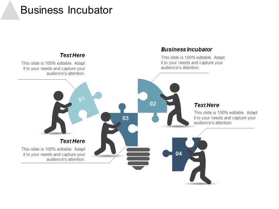 Business Incubator Ppt Powerpoint Presentation Styles Inspiration Cpb