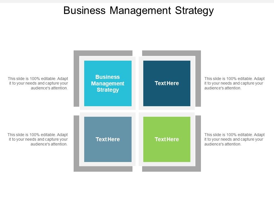 Business Management Strategy Ppt Powerpoint Presentation File Background Images Cpb