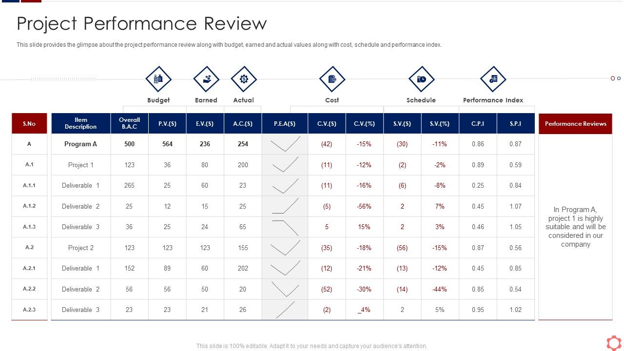 Business Operation Modeling Approaches Project Performance Review Structure