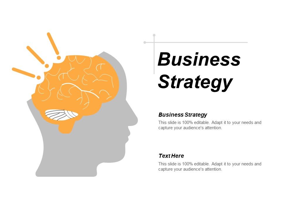 Business Strategy Ppt PowerPoint Presentation Styles Tips Cpb