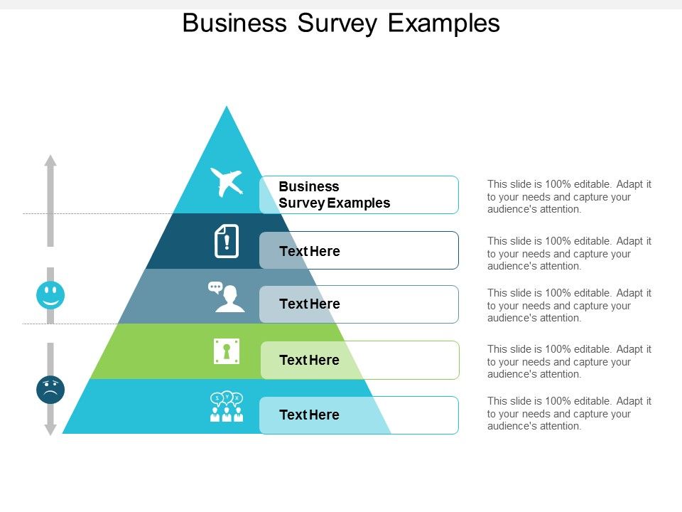 Business Survey Examples Ppt Powerpoint Presentation Gallery Microsoft Cpb