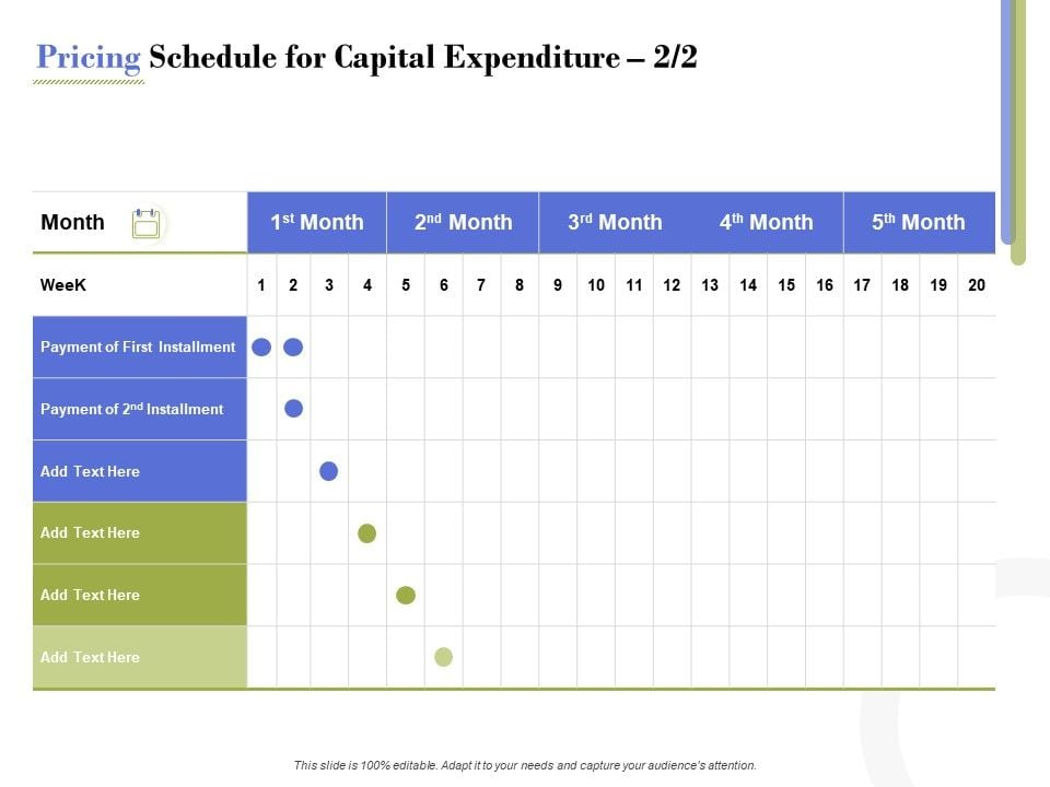Capex Proposal Template Pricing Schedule For Capital Expenditure Month ...