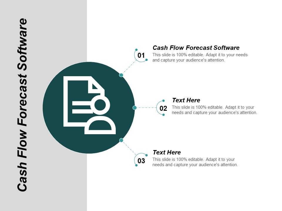 Cash Flow Forecast Software Ppt PowerPoint Presentation Outline Example File Cpb