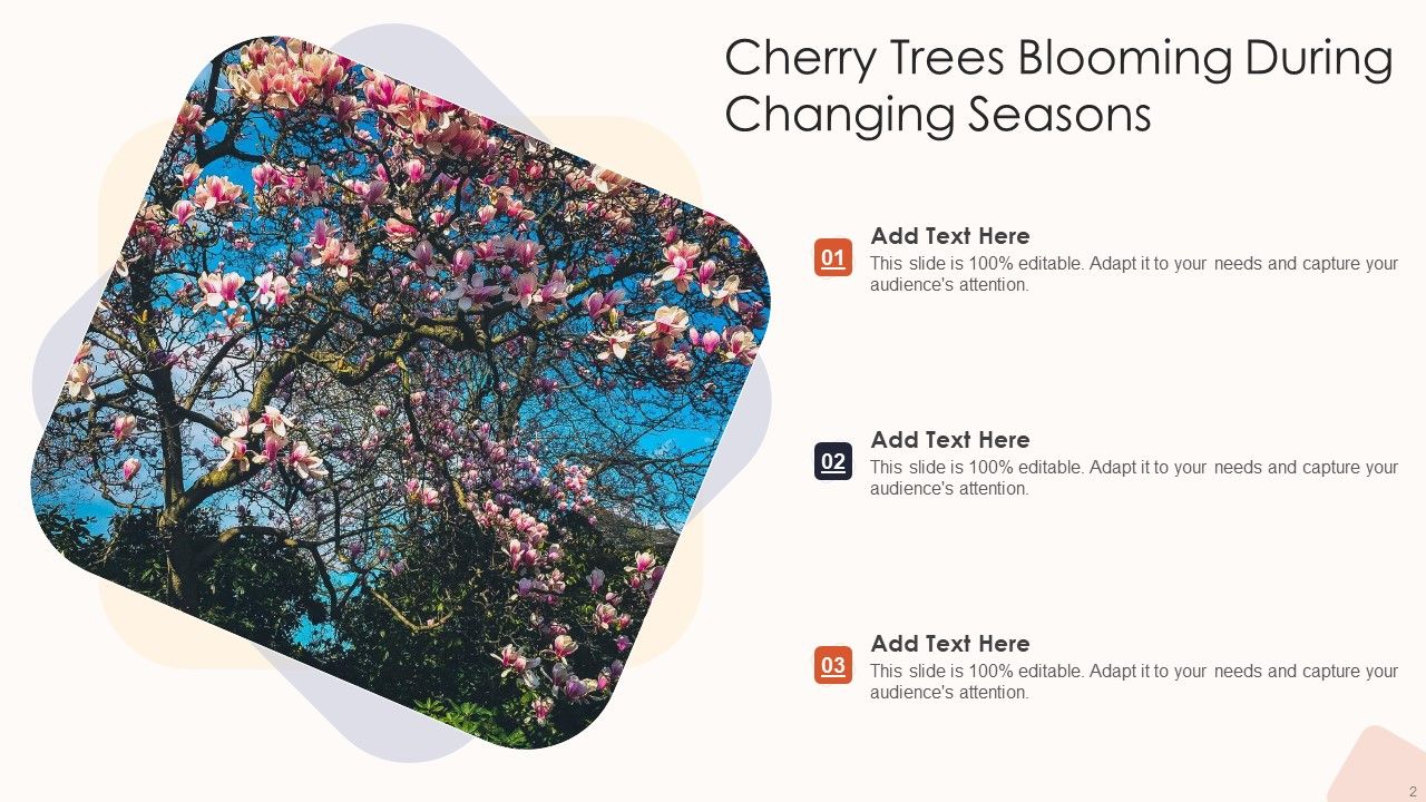Changing Seasons Ppt PowerPoint Presentation Complete With Slides