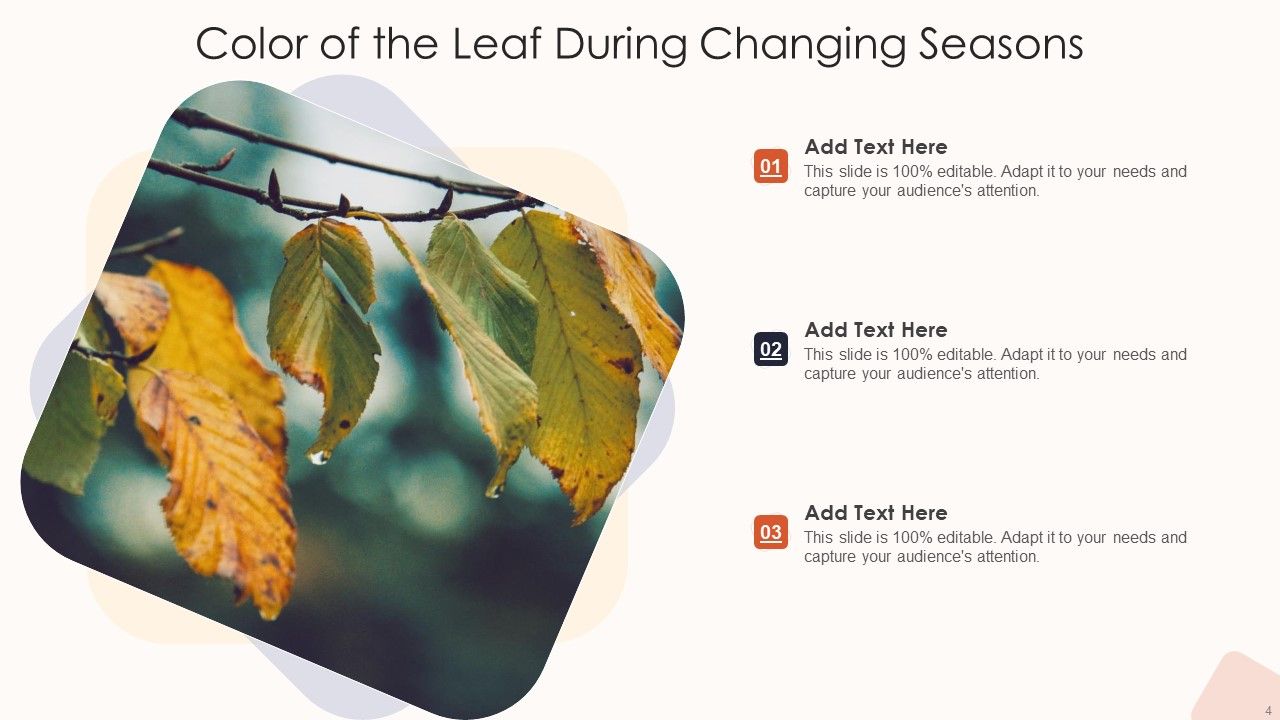 Changing Seasons Ppt PowerPoint Presentation Complete With Slides
