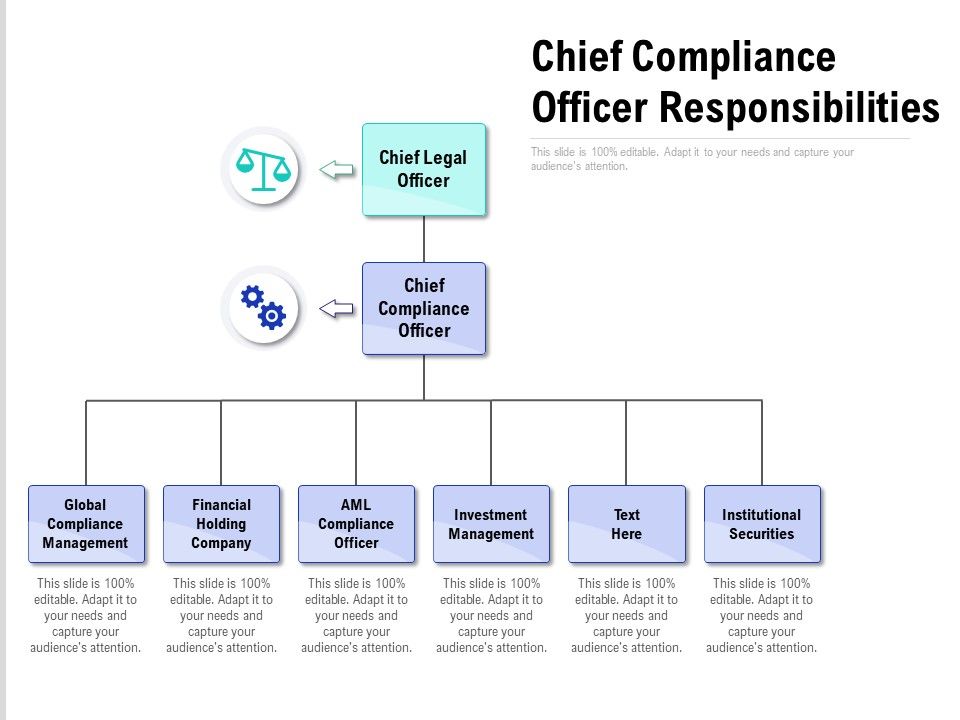 Chief Compliance Officer Responsibilities Ppt Summary Format Ideas PDF Chief Compliance Officer Responsibilities Ppt Summary Format Ideas PDF