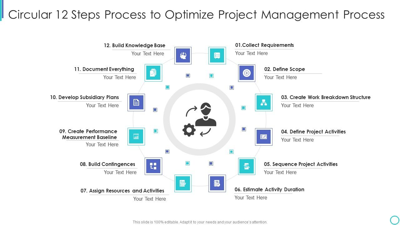 Circular 12 Steps Process To Optimize Project Management Process Template PDF