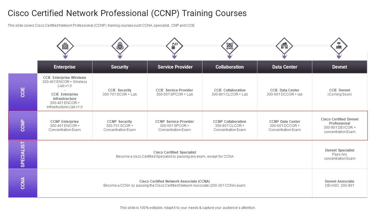 Cisco Certified Network Professional CCNA Training Courses Elements PDF