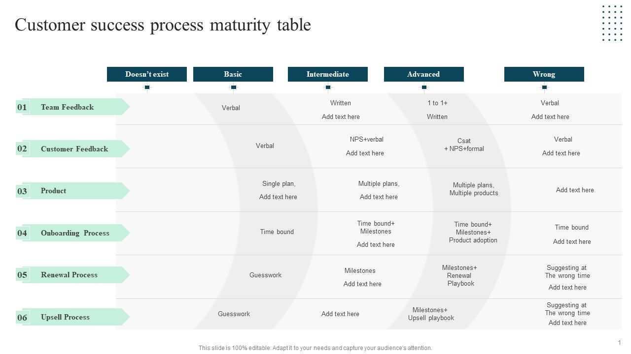 Client Success Playbook Customer Success Process Maturity Table ... Client Success Playbook Customer Success Process Maturity Table ...