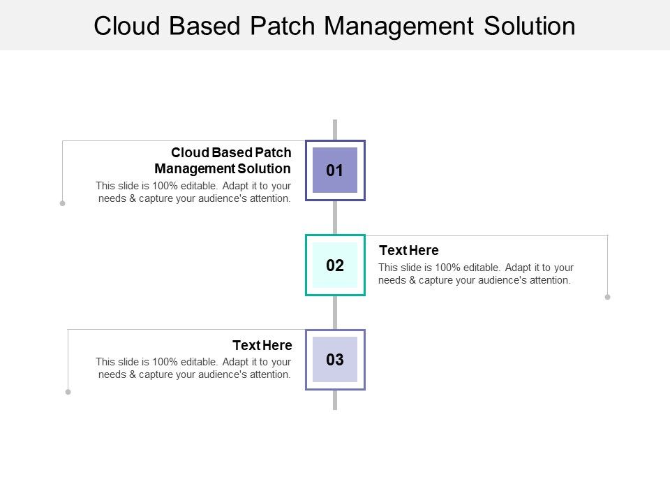 Cloud Based Patch Management Solution Ppt PowerPoint Presentation Infographics Example Cpb