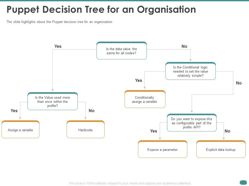 Configuration Management With Puppet Puppet Decision Tree For An Organisation Infographics PDF