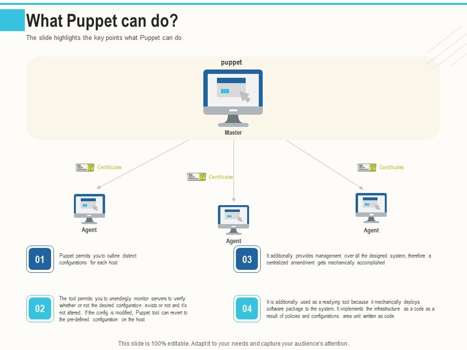 Configuration Management With Puppet What Puppet Can Do Ppt Infographics Graphics Design PDF