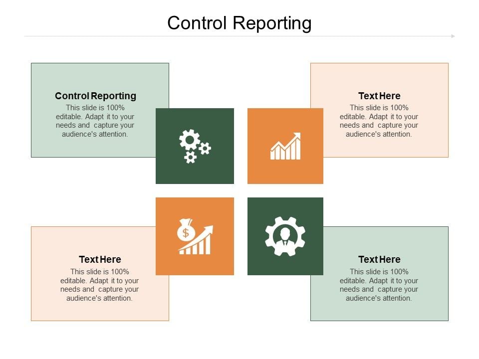 Control Reporting Ppt PowerPoint Presentation Infographic Template Guide Cpb Pdf