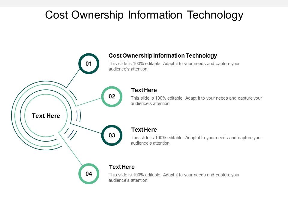Cost Ownership Information Technology Ppt PowerPoint Presentation File Tips Cpb