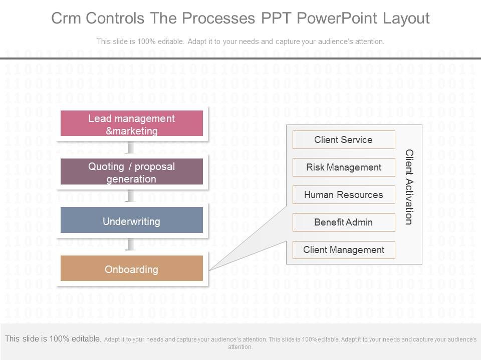 Crm Controls The Processes Ppt Powerpoint Layout Crm Controls The Processes Ppt Powerpoint Layout