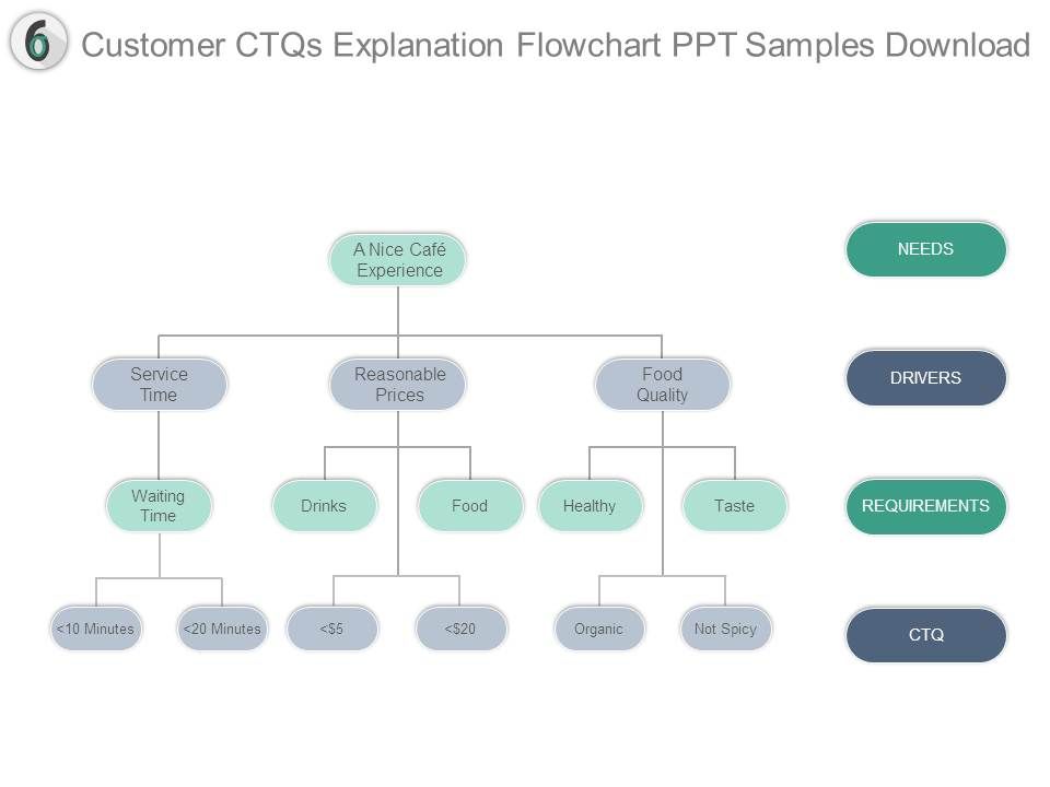 Customer Ctqs Explanation Flowchart Ppt Samples Download