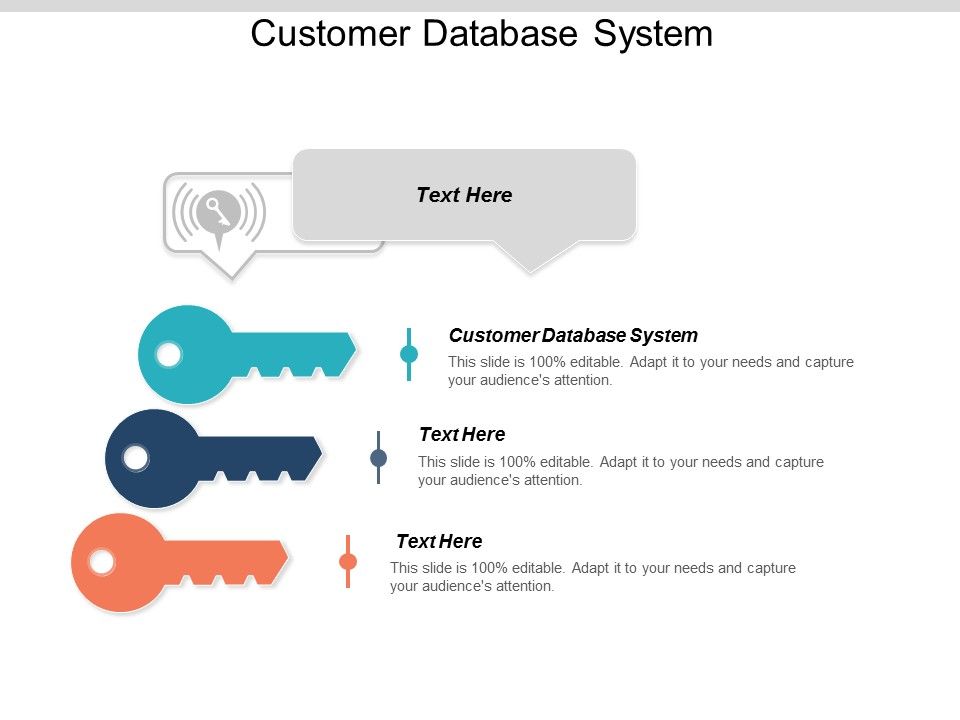 Customer Database System Ppt Powerpoint Presentation Summary Elements Cpb