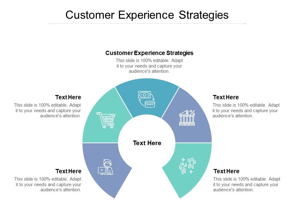 Customer Experience Strategies Ppt PowerPoint Presentation Inspiration Vector Cpb