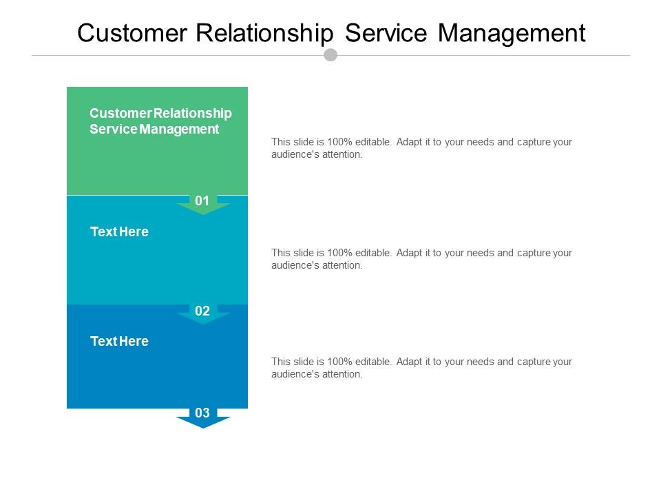Customer Relationship Service Management Ppt Powerpoint Presentation Show D