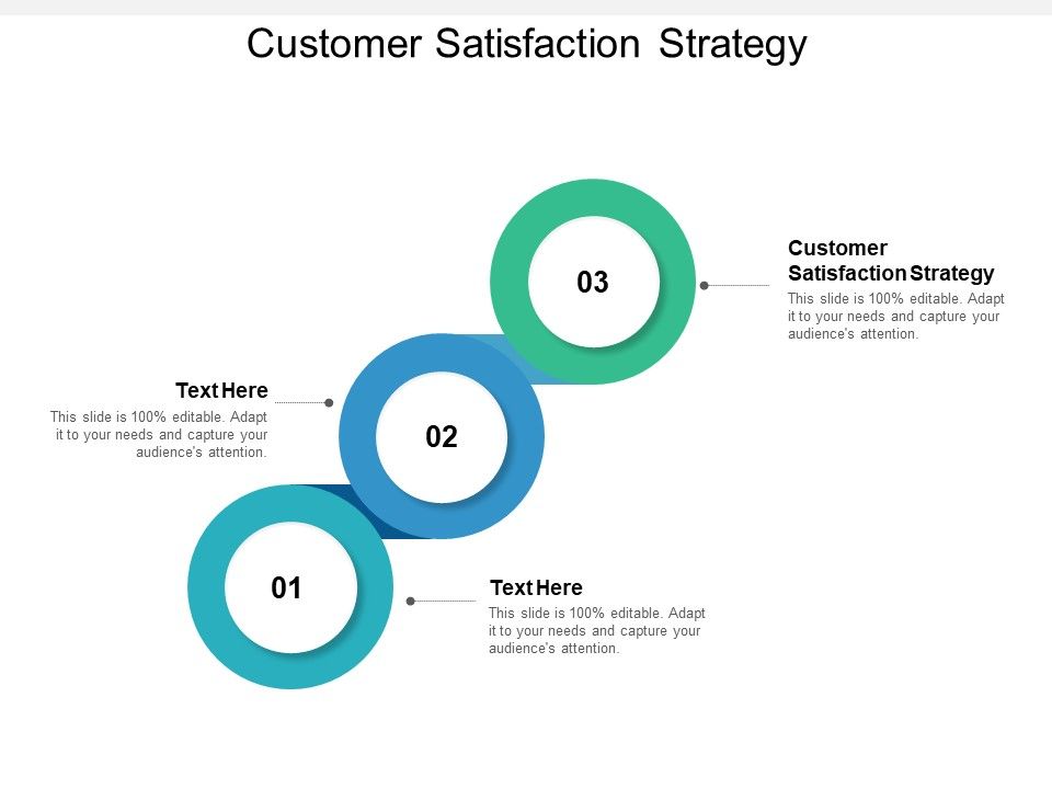 Customer Satisfaction Strategy Ppt PowerPoint Presentation Outline Layouts