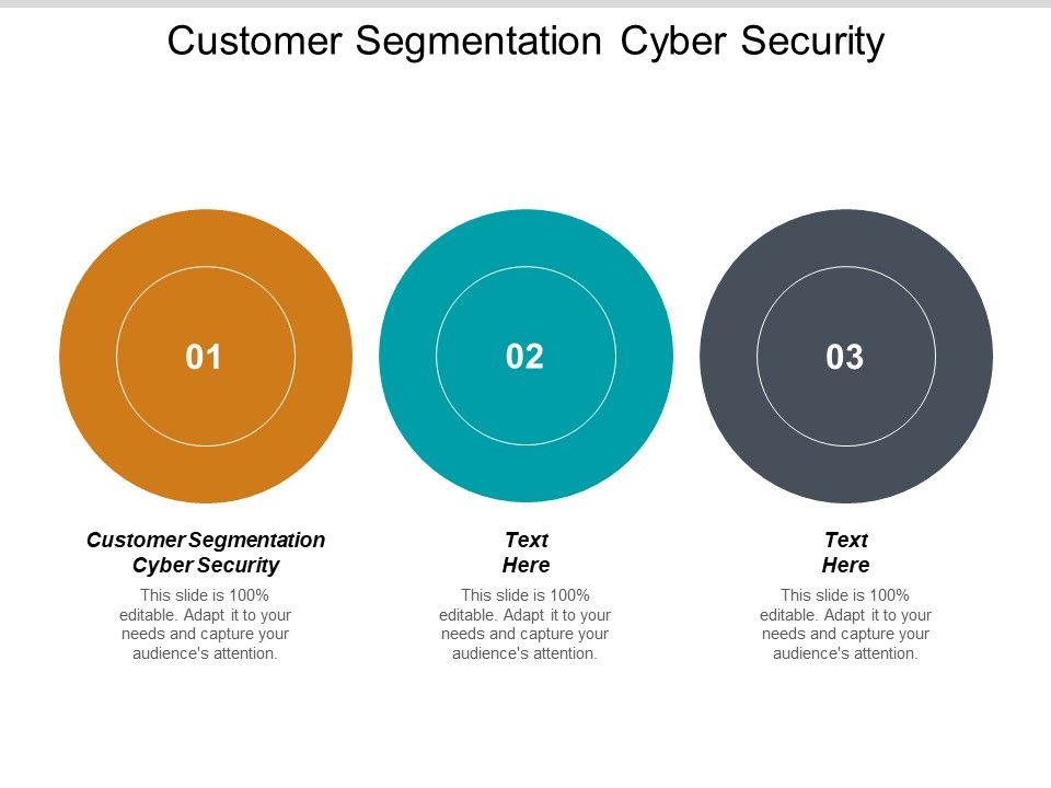 Customer Segmentation Cyber Security Ppt Powerpoint Presentation Layouts Examples Cpb