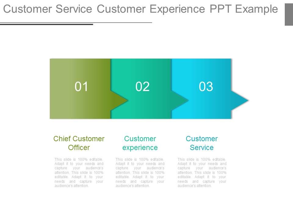 Customer Service Customer Experience Ppt Example