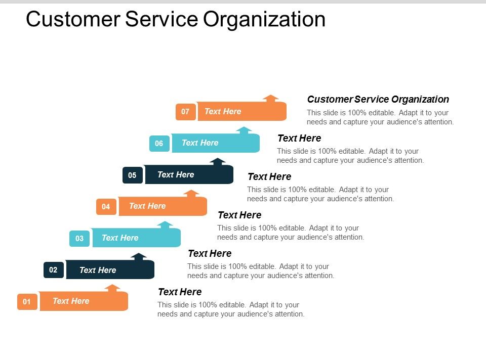 Customer Service Organization Ppt Powerpoint Presentation Gallery Elements Cpb