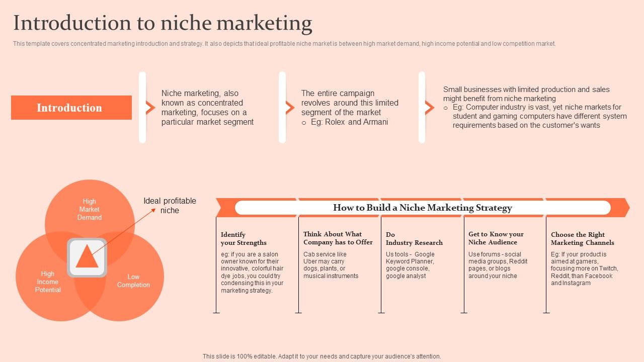 Customised Advertising Strategies Introduction To Niche Marketing ... Customised Advertising Strategies Introduction To Niche Marketing ...