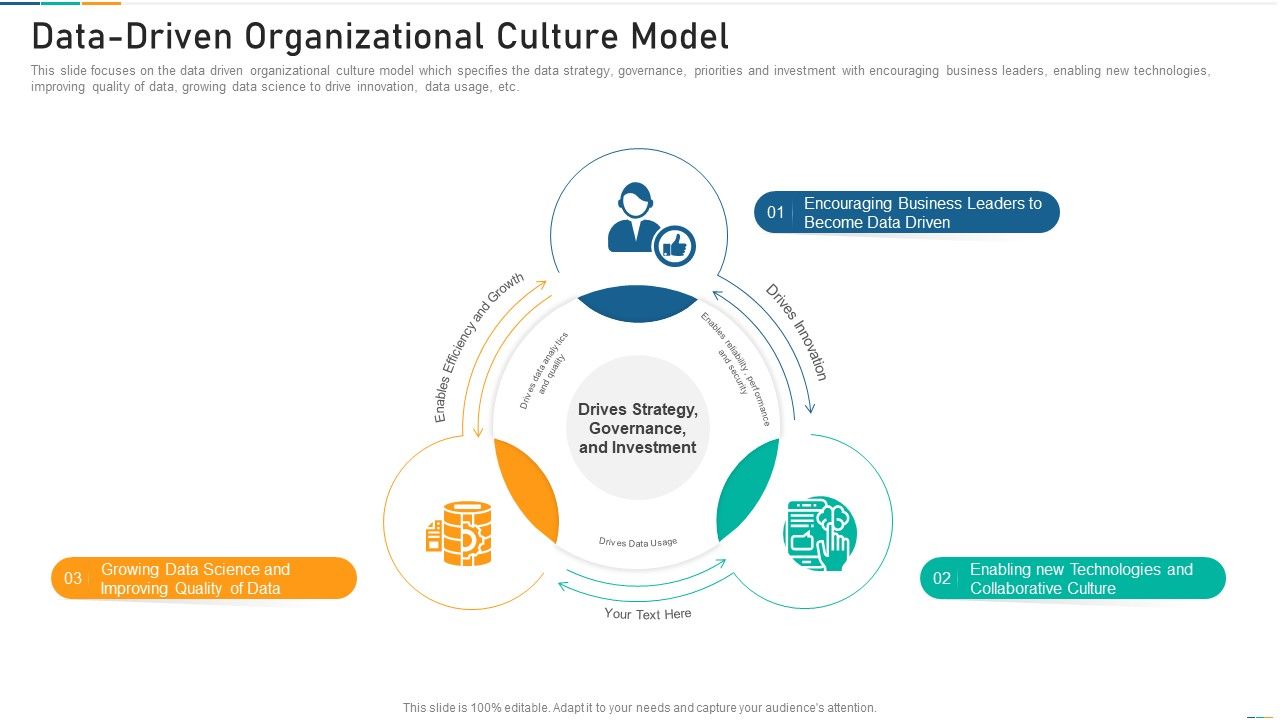Data Driven Organizational Culture Model Formats PDF