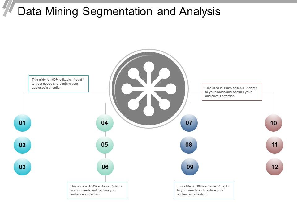 Data Mining Segmentation And Analysis Ppt PowerPoint Presentation Slides