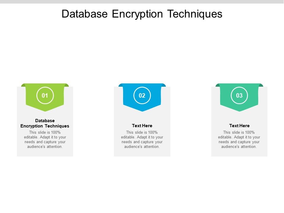 Database Encryption Techniques Ppt PowerPoint Presentation Layouts ...