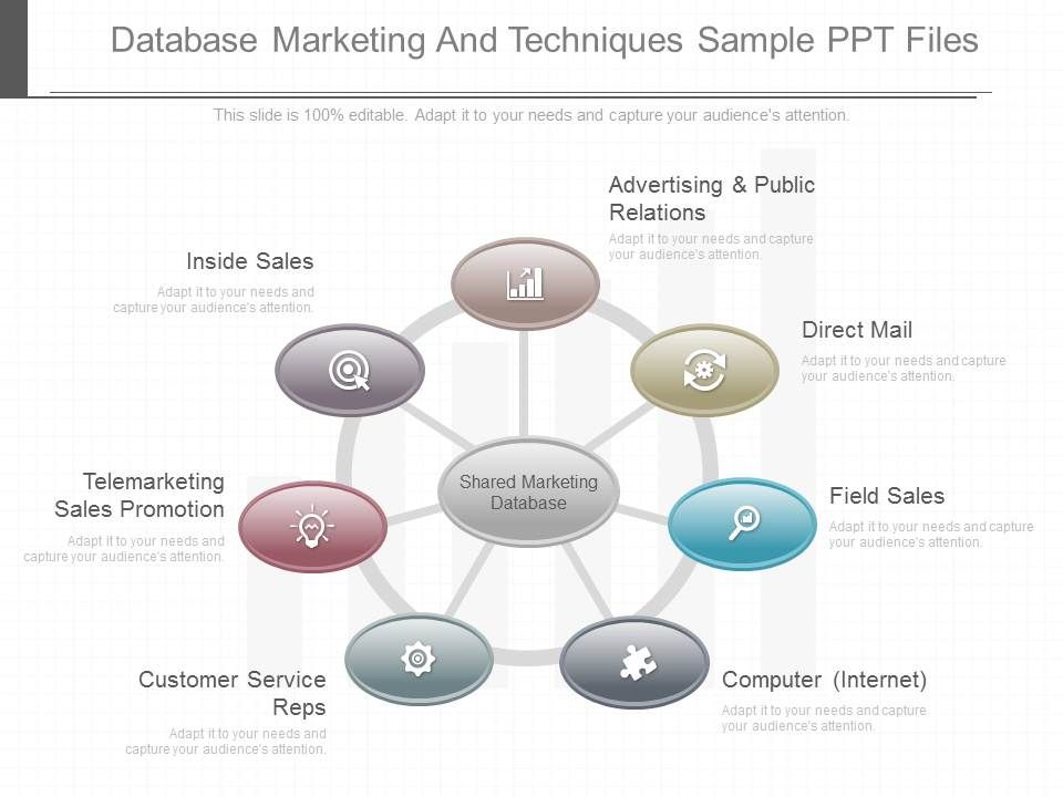 Database Marketing And Techniques Sample Ppt Files