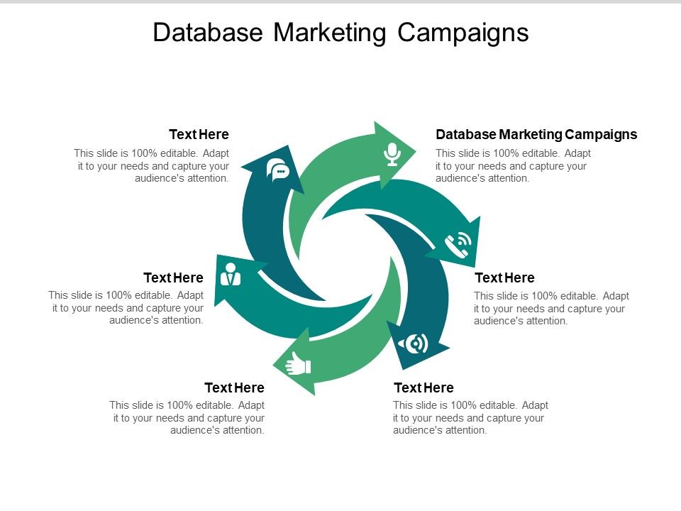 Database Marketing Campaigns Ppt PowerPoint Presentation Show Layouts Cpb Pdf