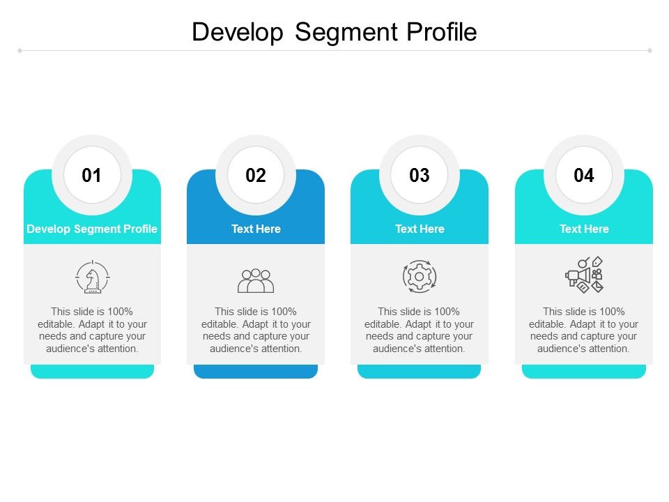 Develop Segment Profile Ppt Powerpoint Presentation File Graphic Tips Cpb