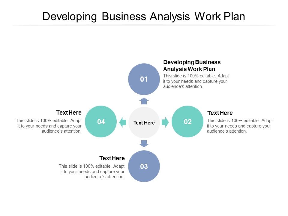 Developing Business Analysis Work Plan Ppt PowerPoint Presentation Portfolio Slide Portrait Cpb