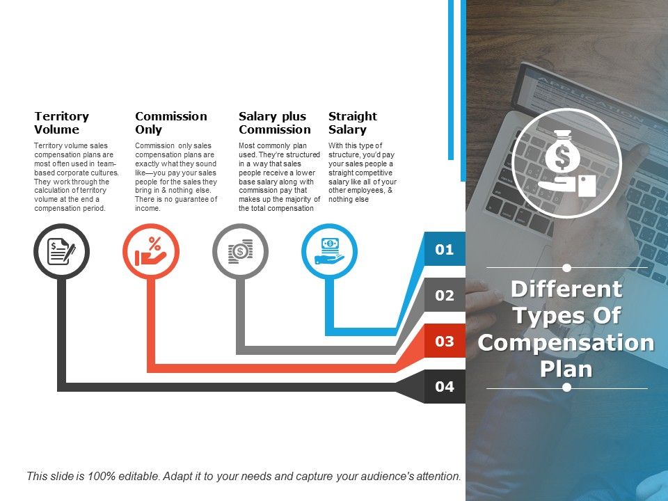 Different Types Of Compensation Plan Ppt PowerPoint Presentation Model Info